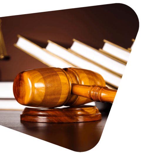 Court Reporters, Videoconferencing, Depositions and Trial Support in ...