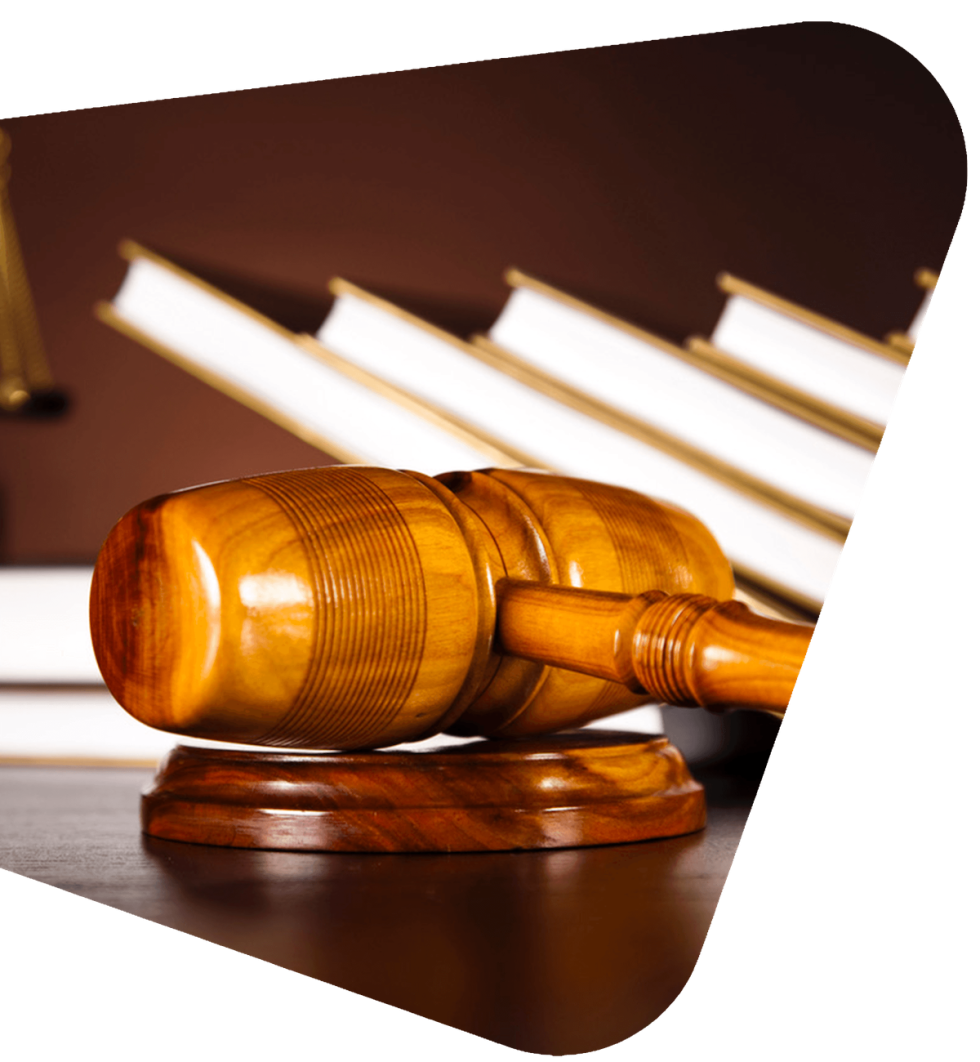 Court Reporters, Videoconferencing, Depositions and Trial Support in ...